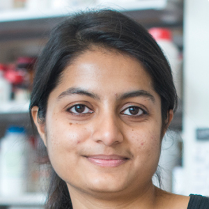 摘自期刊:2019年3月