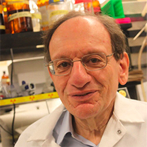 品种不是一些脂质的香料！